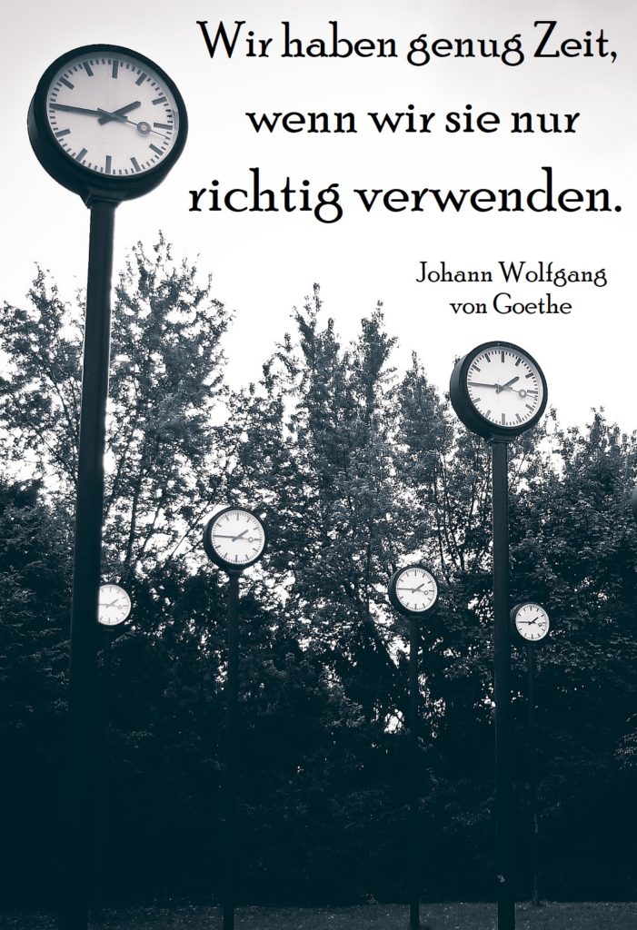 Johann Wolfgang von Goethe Spruch 9 - Gutscheinspruch.de