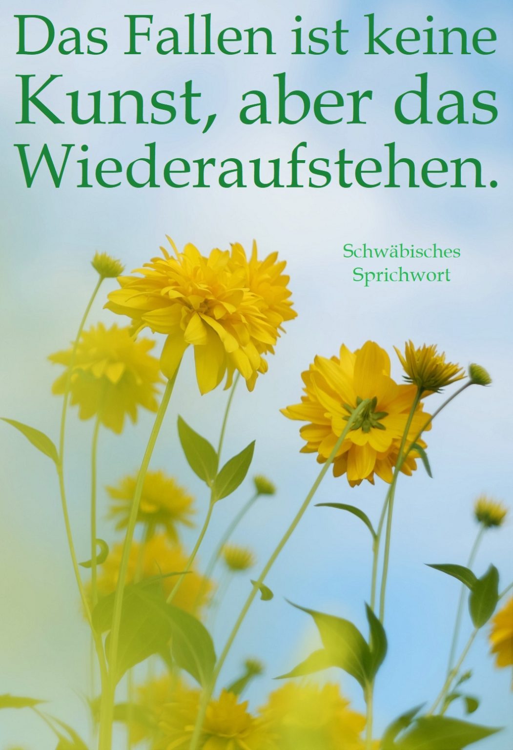 Bilder Mit Spruchen